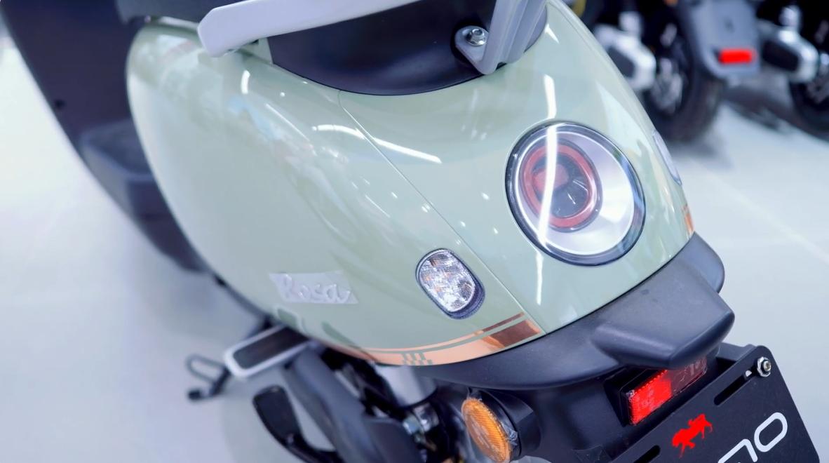 Xe Đạp Điện Dibao Rosa Thế Hệ Mới | Thế Giới Xe Điện