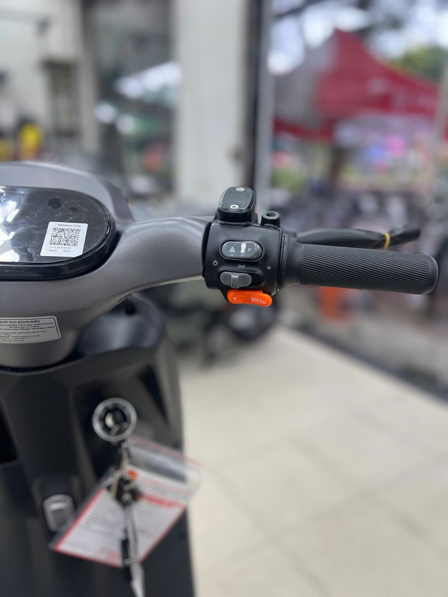 Xe Đạp Điện Victoria VC Noble