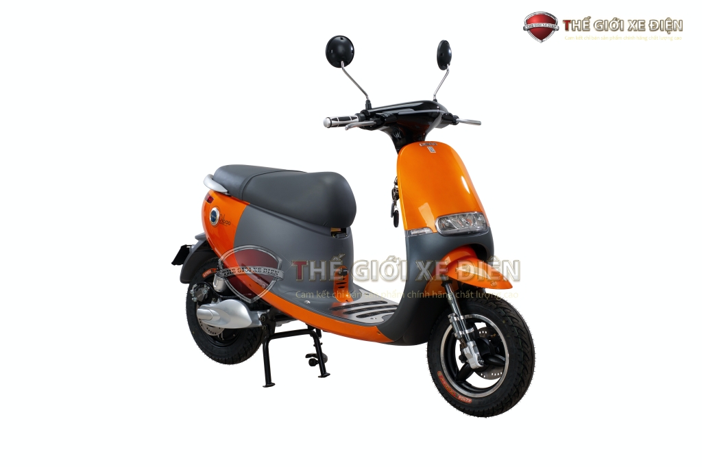 Xe Máy Điện Dibao Gogo S4 Càng Đúc Chân Chống Đúc