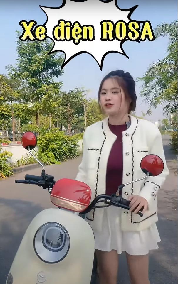 Xe Đạp Điện Dibao Rosa Thế Hệ Mới | Thế Giới Xe Điện