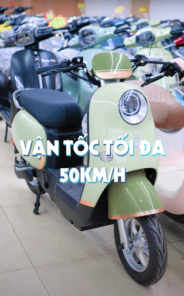 Xe Đạp Điện Dibao Rosa Thế Hệ Mới | Thế Giới Xe Điện