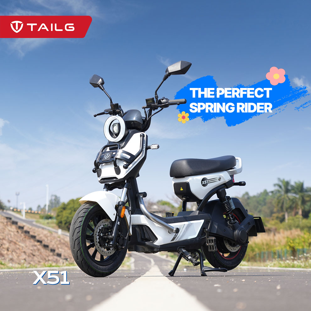 Xe Đạp Điện Tailg X51 Chính Hãng Có Đầy Đủ Giấy Tờ