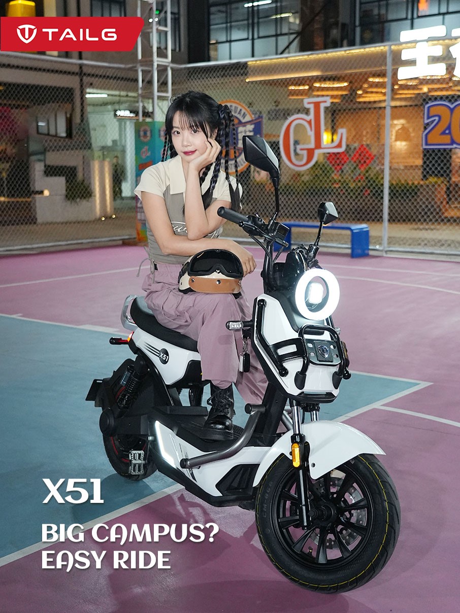Xe Đạp Điện Tailg X51 Chính Hãng Có Đầy Đủ Giấy Tờ