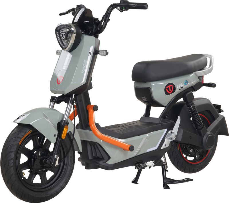 Xe Đạp Điện Tailg GX30 Chính Hãng Có Đầy Đủ Giấy Tờ