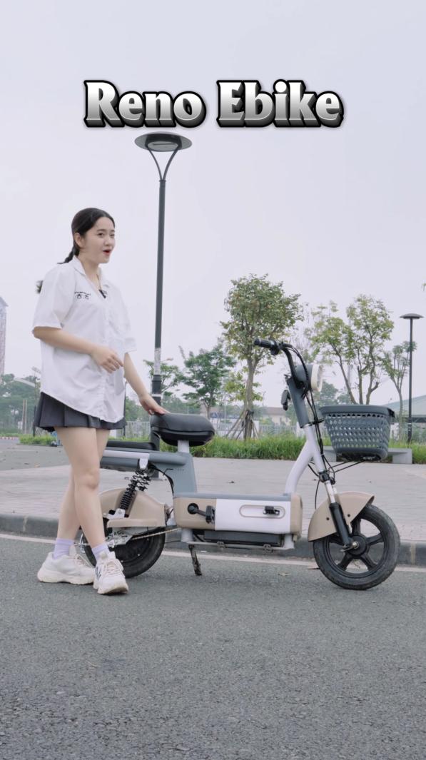 Xe Đạp Điện Reno Ebike Nhập Khẩu Chính Hãng