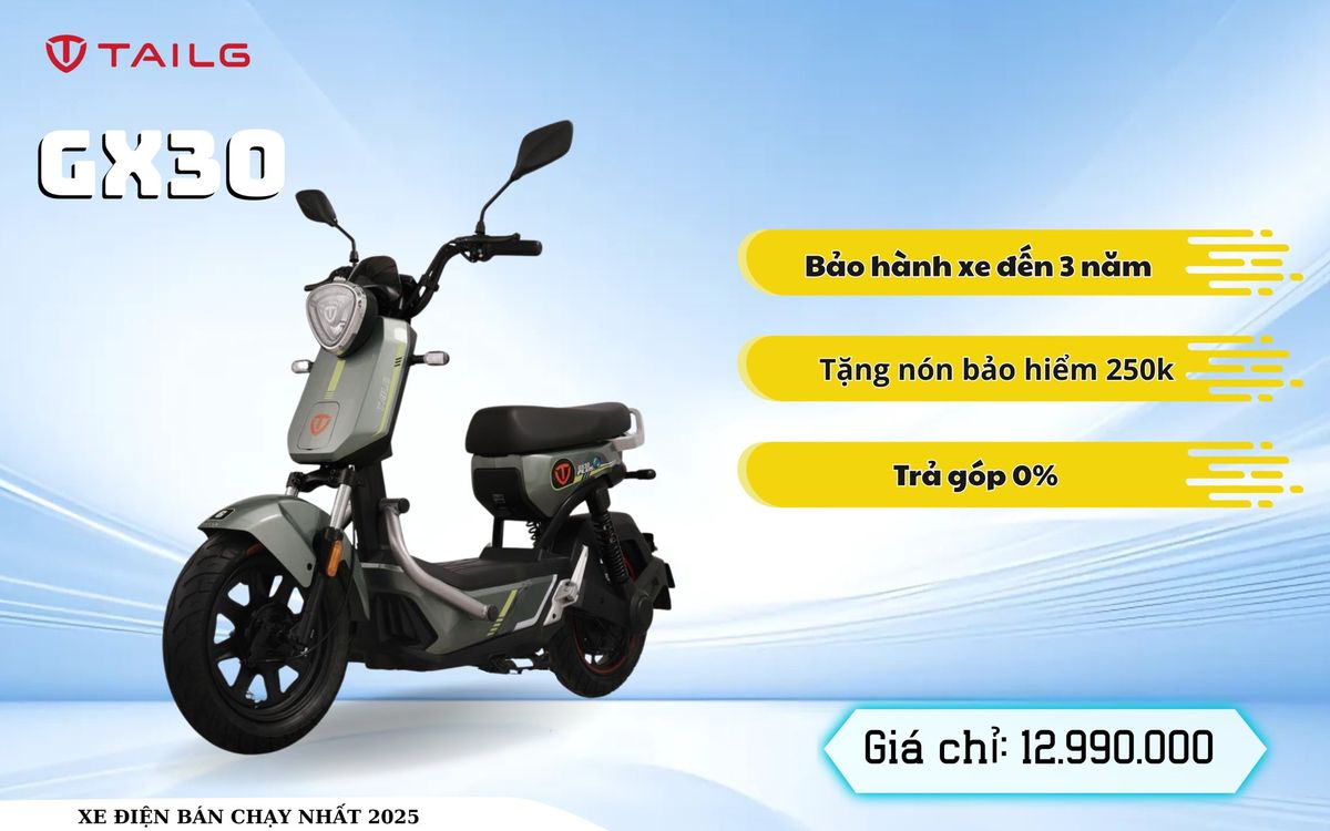 Xe Đạp Điện Tailg GX30 Chính Hãng Có Đầy Đủ Giấy Tờ