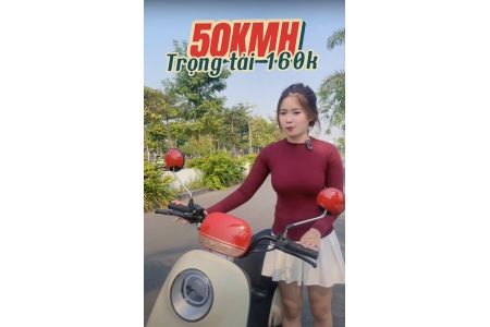 Xe Đạp Điện Dibao Rosa Thế Hệ Mới | Thế Giới Xe Điện