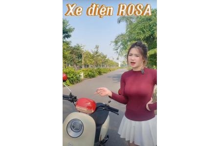 Xe Đạp Điện Dibao Rosa Thế Hệ Mới | Thế Giới Xe Điện