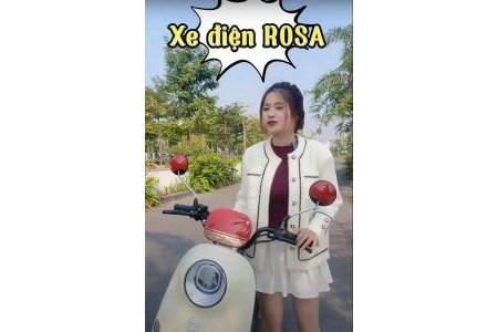 Xe Đạp Điện Dibao Rosa Thế Hệ Mới | Thế Giới Xe Điện