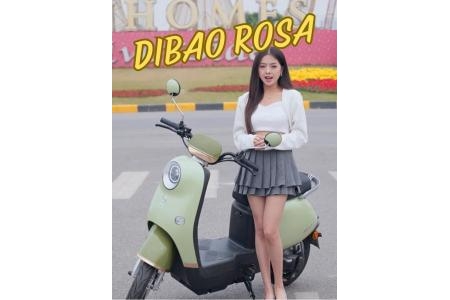 Xe Đạp Điện Dibao Rosa Thế Hệ Mới | Thế Giới Xe Điện