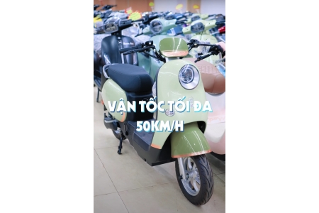 Xe Đạp Điện Dibao Rosa Thế Hệ Mới | Thế Giới Xe Điện