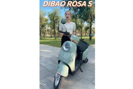 Xe Đạp Điện Dibao Rosa Thế Hệ Mới | Thế Giới Xe Điện